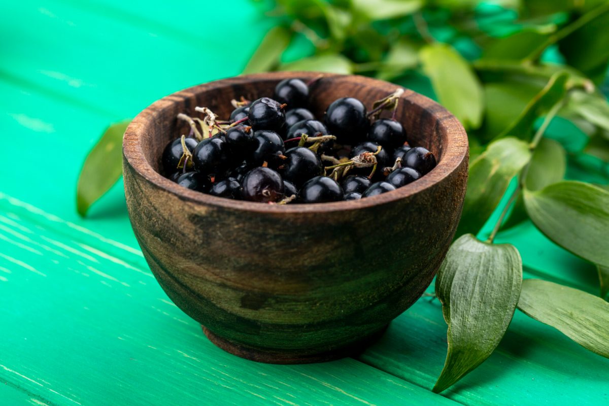 The Jaboticaba Tree: A Complete Guide to Cultivating and Harvesting ...