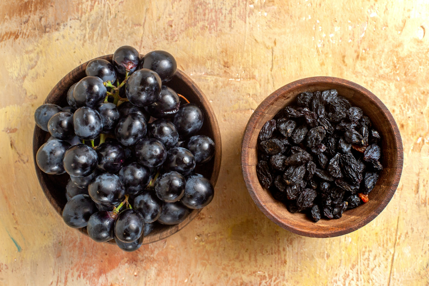 The Jaboticaba Tree: A Complete Guide to Cultivating and Harvesting ...